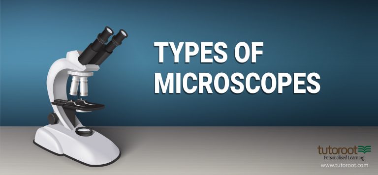 What are the Types of Microscopes?