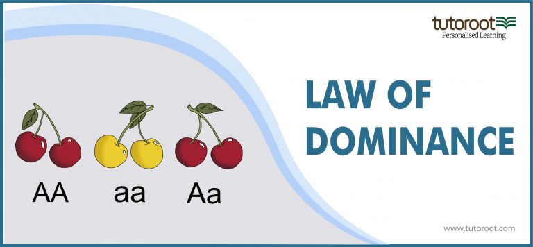 What is Law of Segregation and Law of Dominance? - Tutoroot