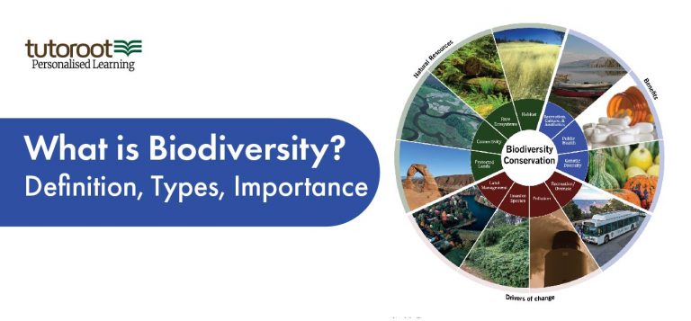 What is Biodiversity? - Definition, Types, Importance