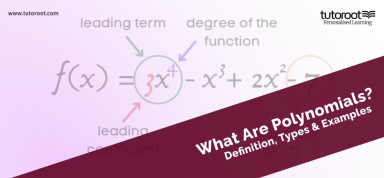 What are Polynomials? Definition, Types, Examples