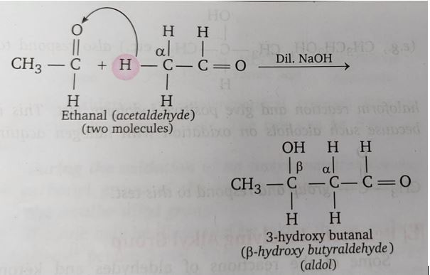 What is Aldol Condensation? Reaction, Mechanism, Example