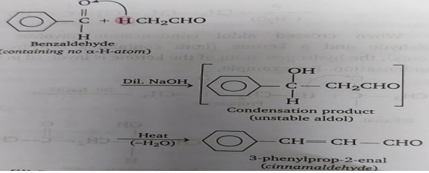 What is Aldol Condensation? Reaction, Mechanism, Example