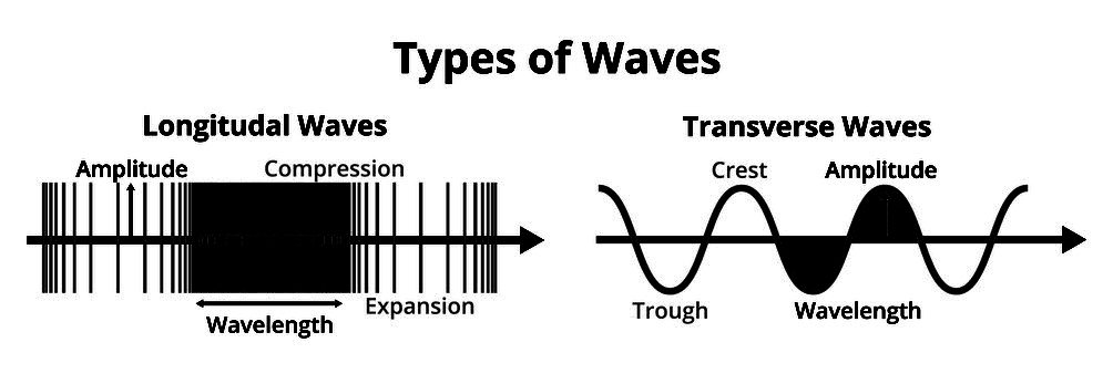 What are Longitudinal and Transverse Waves? - Difference, Diagram What are Longitudinal and Transverse Waves? - Difference, Diagram
