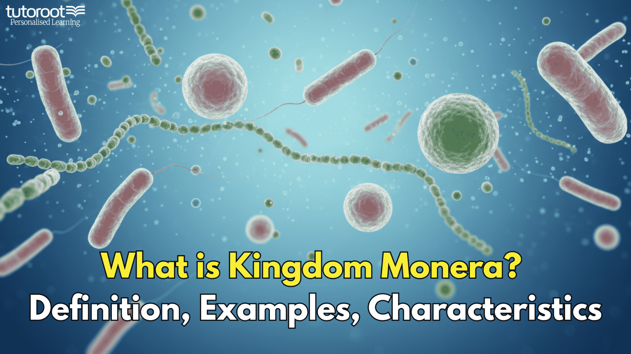 What is Kingdom Monera? Definition, Examples, Characteristics