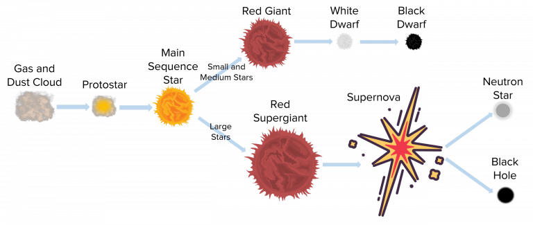 What are the Stages in the Life Cycle of a Star?