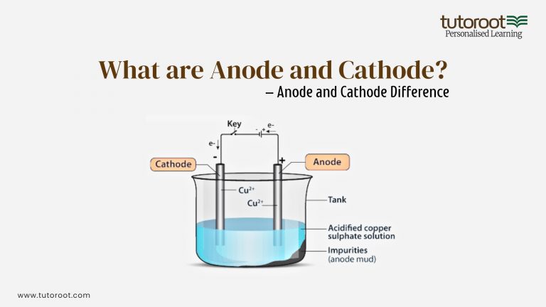 What are Anode and Cathode? - Anode and Cathode Difference