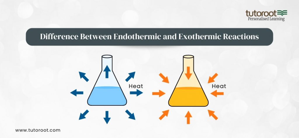 What Sets Endothermic and Exothermic Reactions Apart?