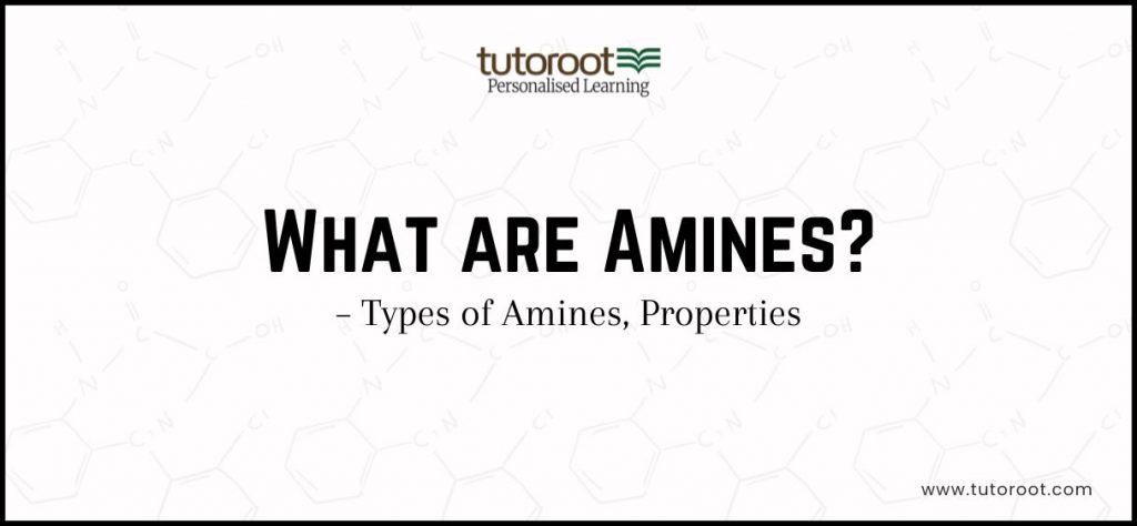 What are Amines? - Types of Amines, Properties