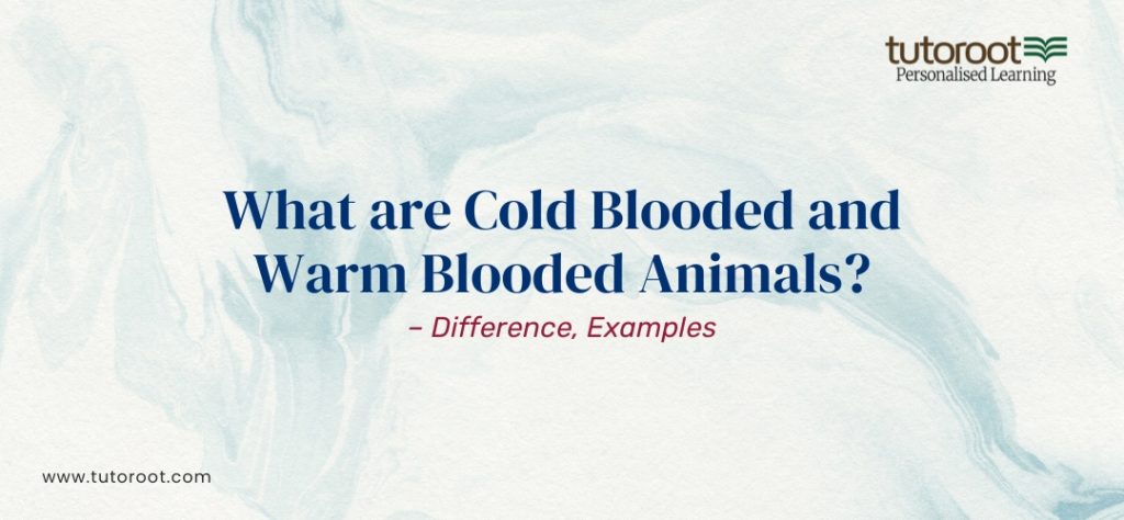What are Cold Blooded and Warm Blooded Animals?