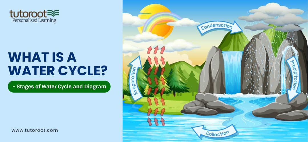 How Do You Explain The Water Cycle - Infoupdate.org
