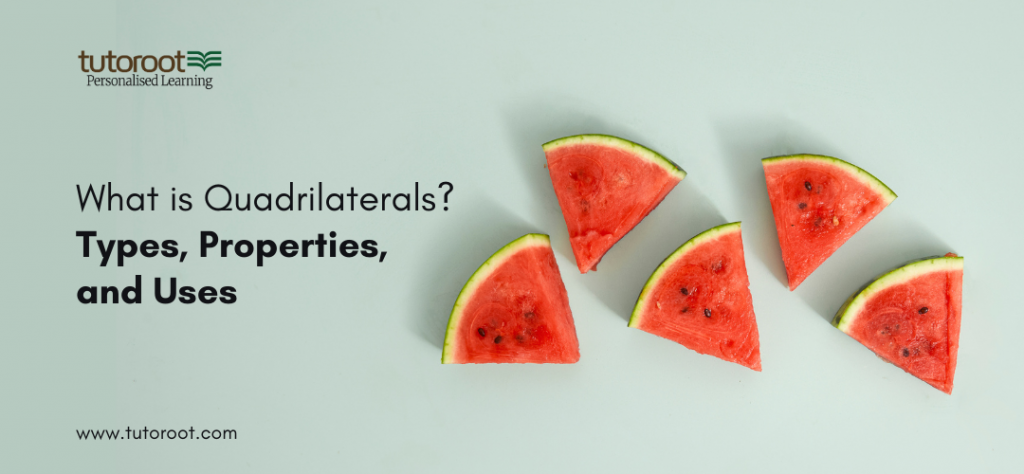 What is Quadrilaterals? Types, Properties, and Uses