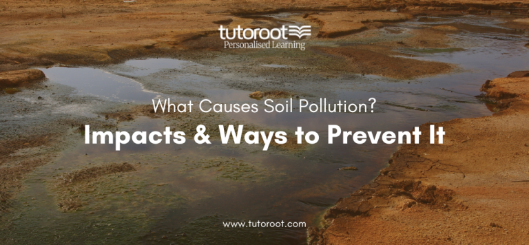 What Causes Soil Pollution? Impacts & Ways to Prevent It